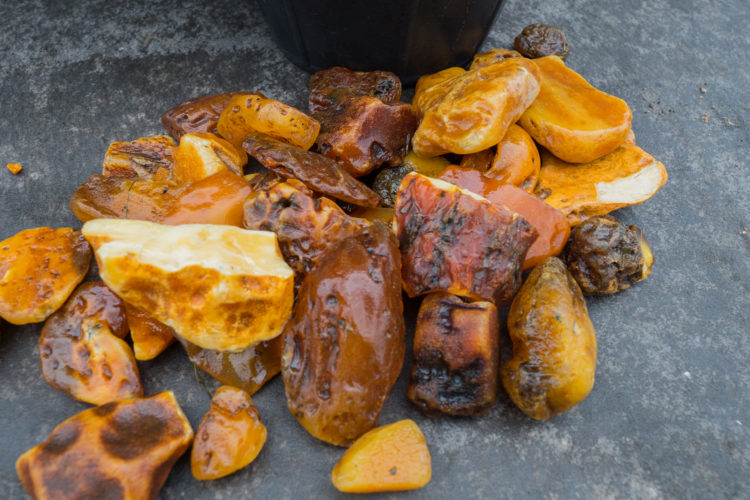 „The Hunt for Baltic Gold” – season 5 is now available on the HISTORY ...